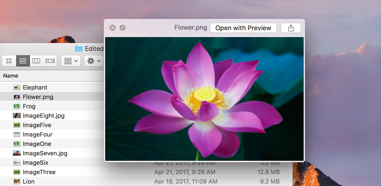Apple's Quick Look reveals your darkest secrets - The Mac Security Blog
